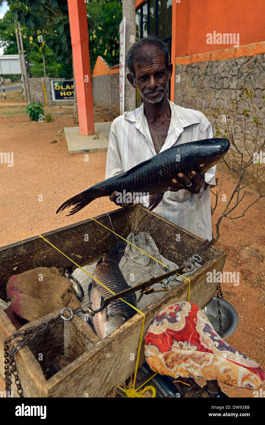 Peddling hi-res stock photography and images - Alamy