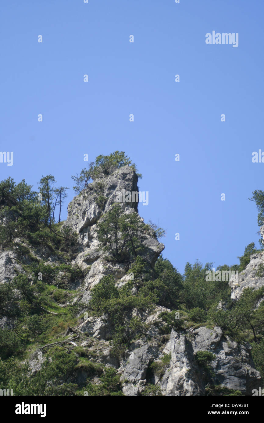 Savage rock, trees on its point Stock Photo - Alamy