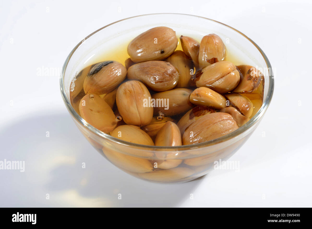 Acorns watering hi-res stock photography and images - Alamy