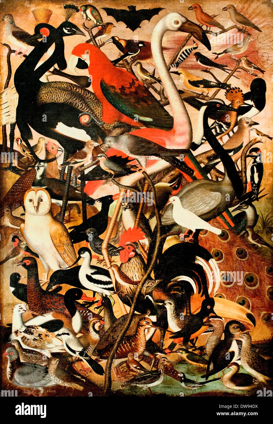 17th century bird paintings hi-res stock photography and images - Alamy