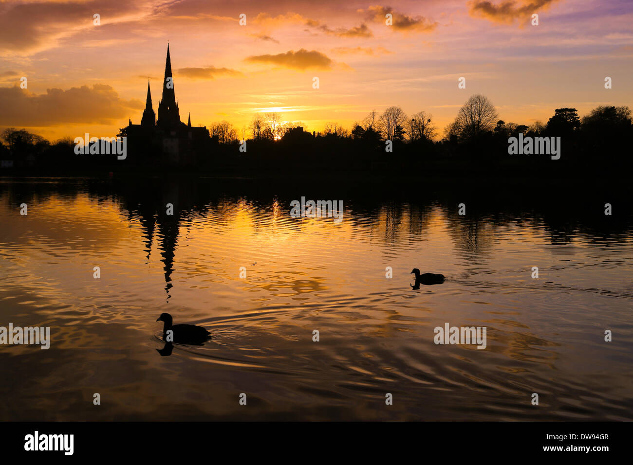 Lichfield, Staffordshire, UK. 3rd March 2014. After a winter of wet and ...