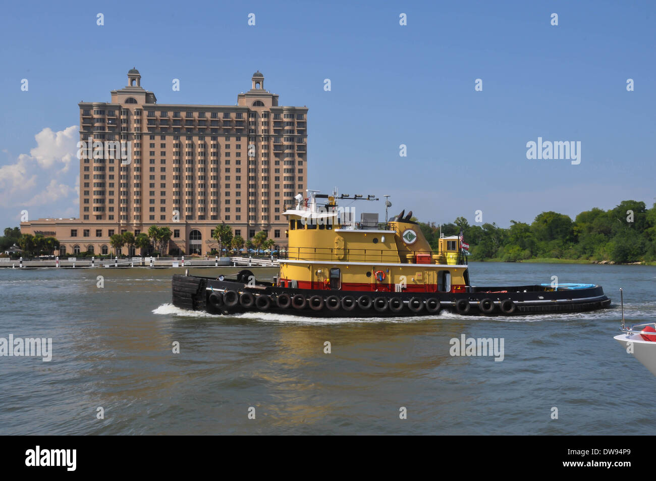 Savannah river hi-res stock photography and images - Alamy