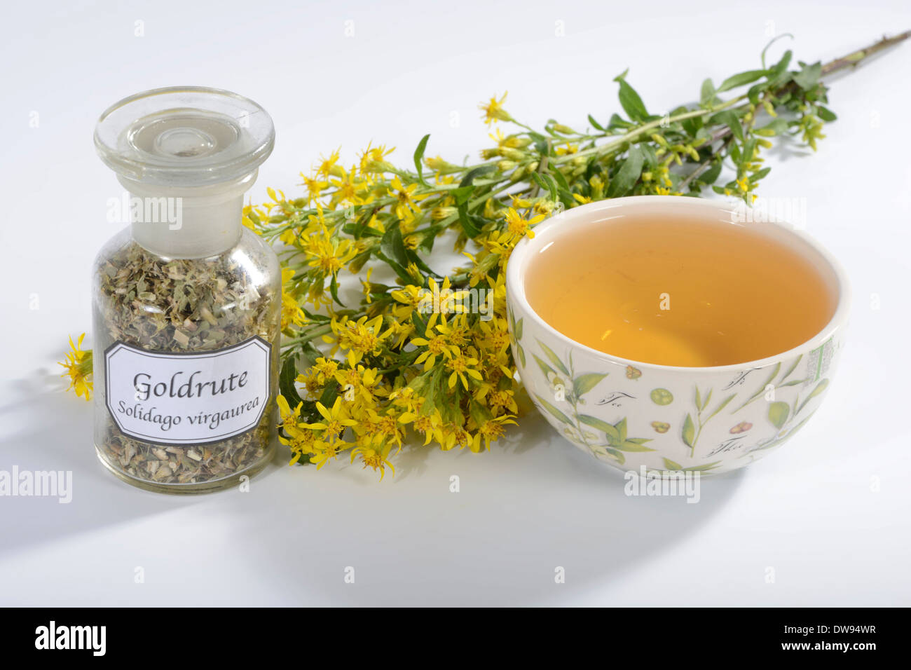 Goldenrod tea hi-res stock photography and images - Alamy