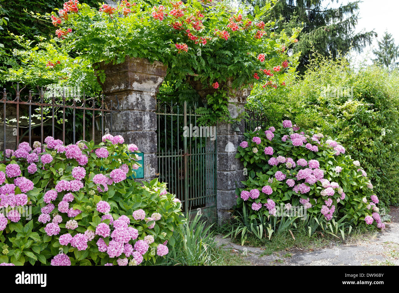 Iron gates with flowers hi-res stock photography and images - Alamy