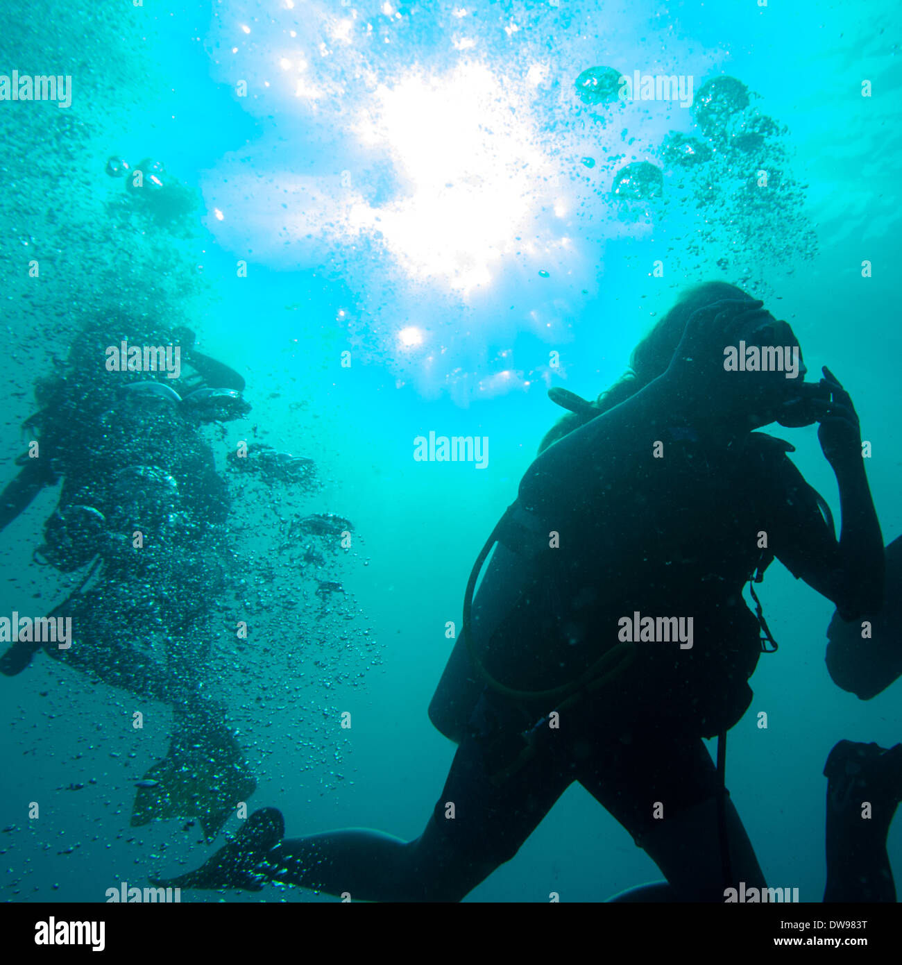 Utila, Honduras Diving High Resolution Stock Photography and Images - Alamy