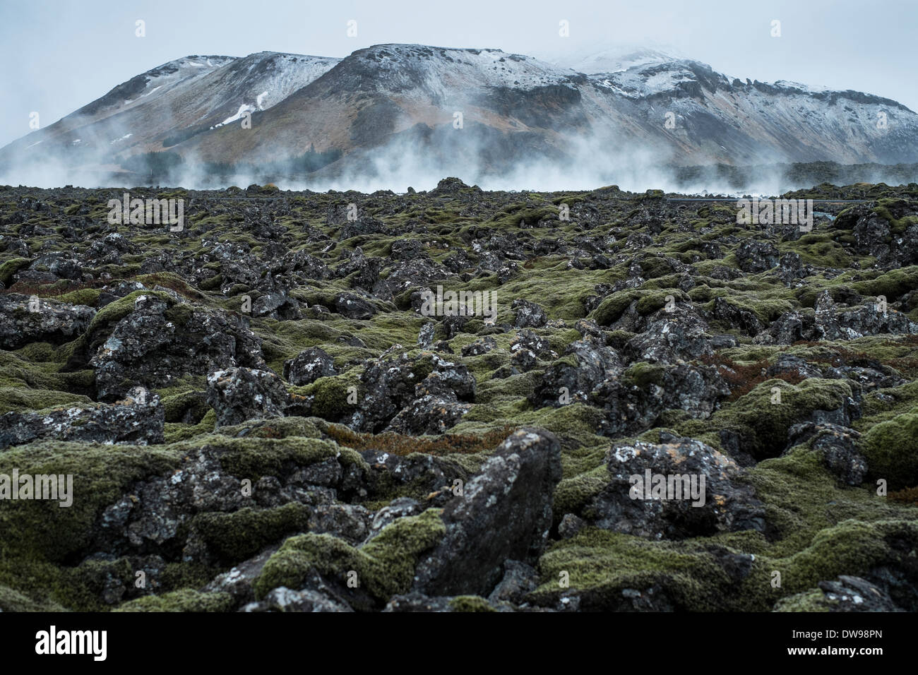 Steam from Geothermal springs in volcanic landscape. Iceland Stock ...