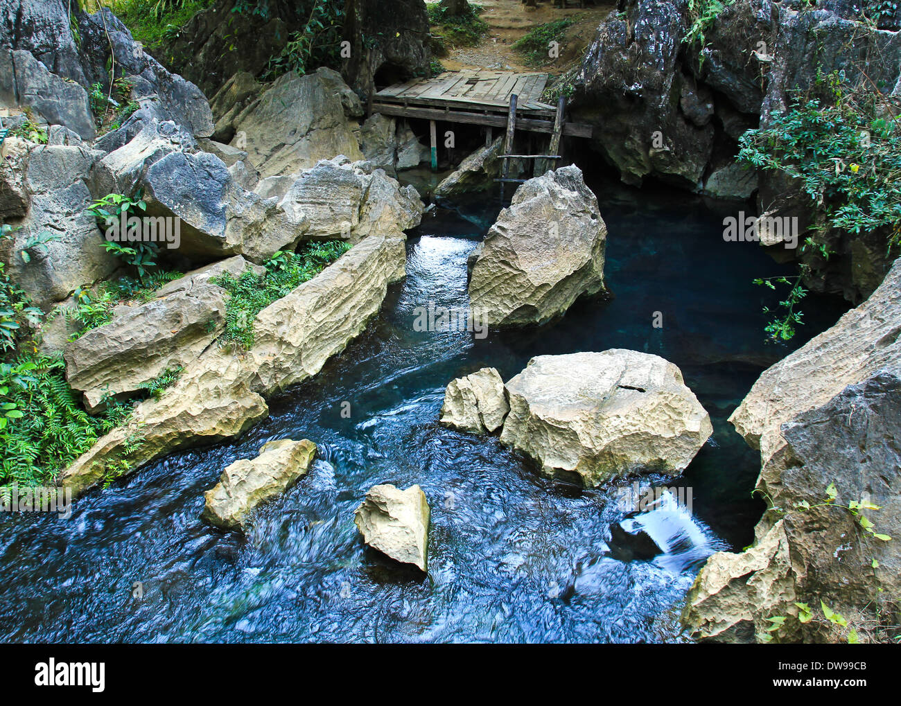 River stream forest hi-res stock photography and images - Alamy