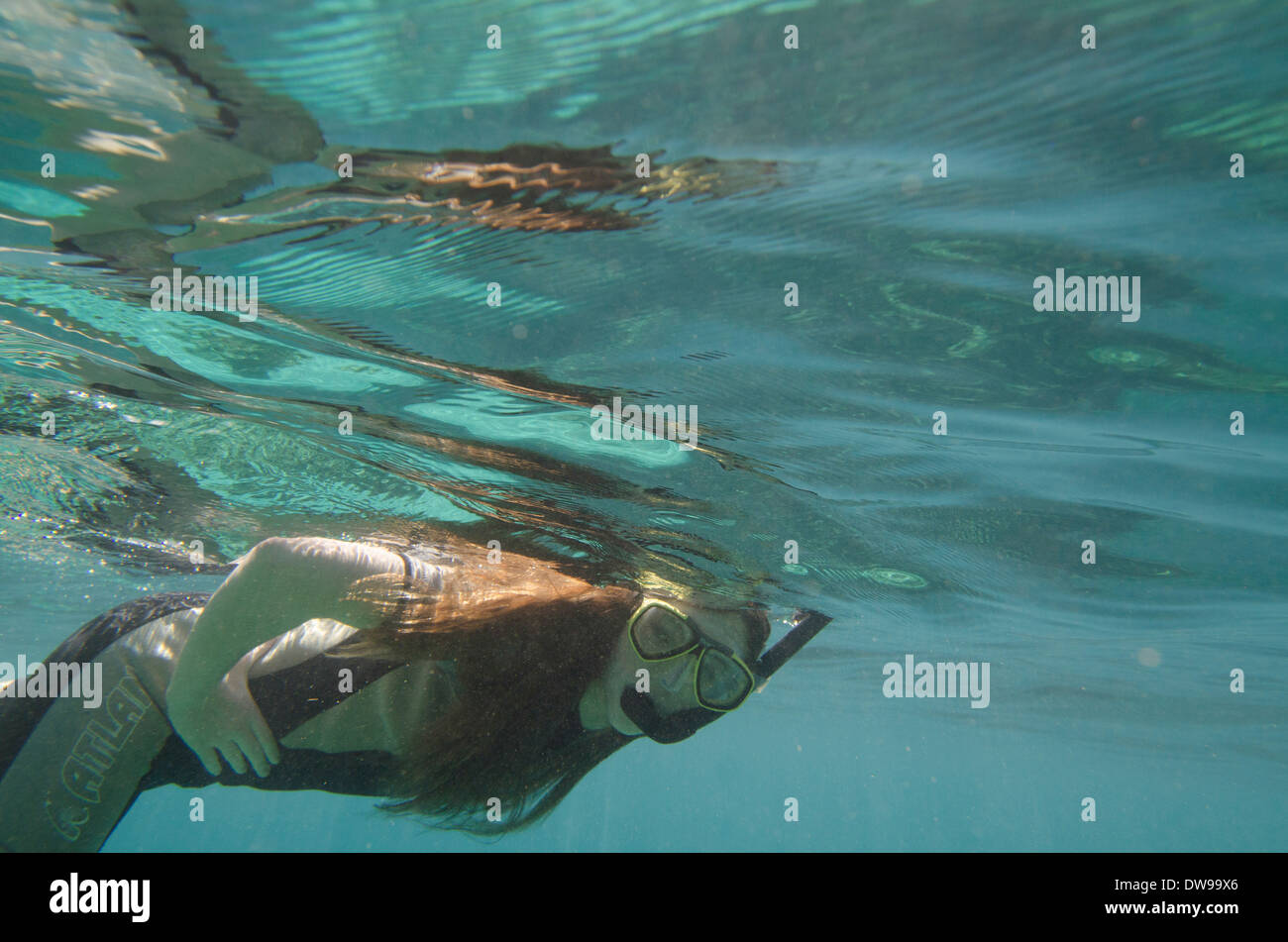 Scuba diver underwater Utila Bay Islands Honduras Stock Photo - Alamy