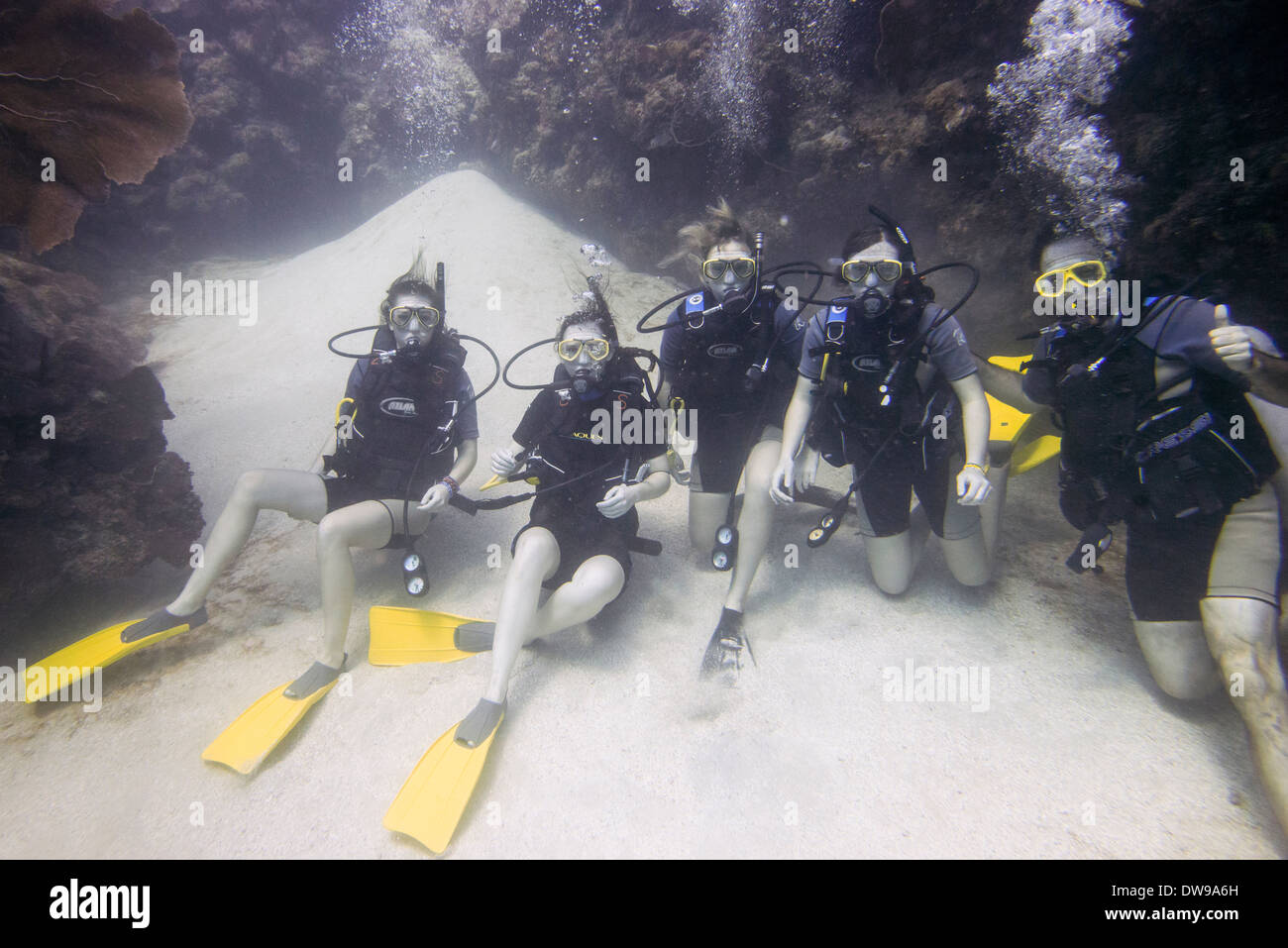 Underwater view of scuba divers on sea floor Utila Bay Islands Honduras ...