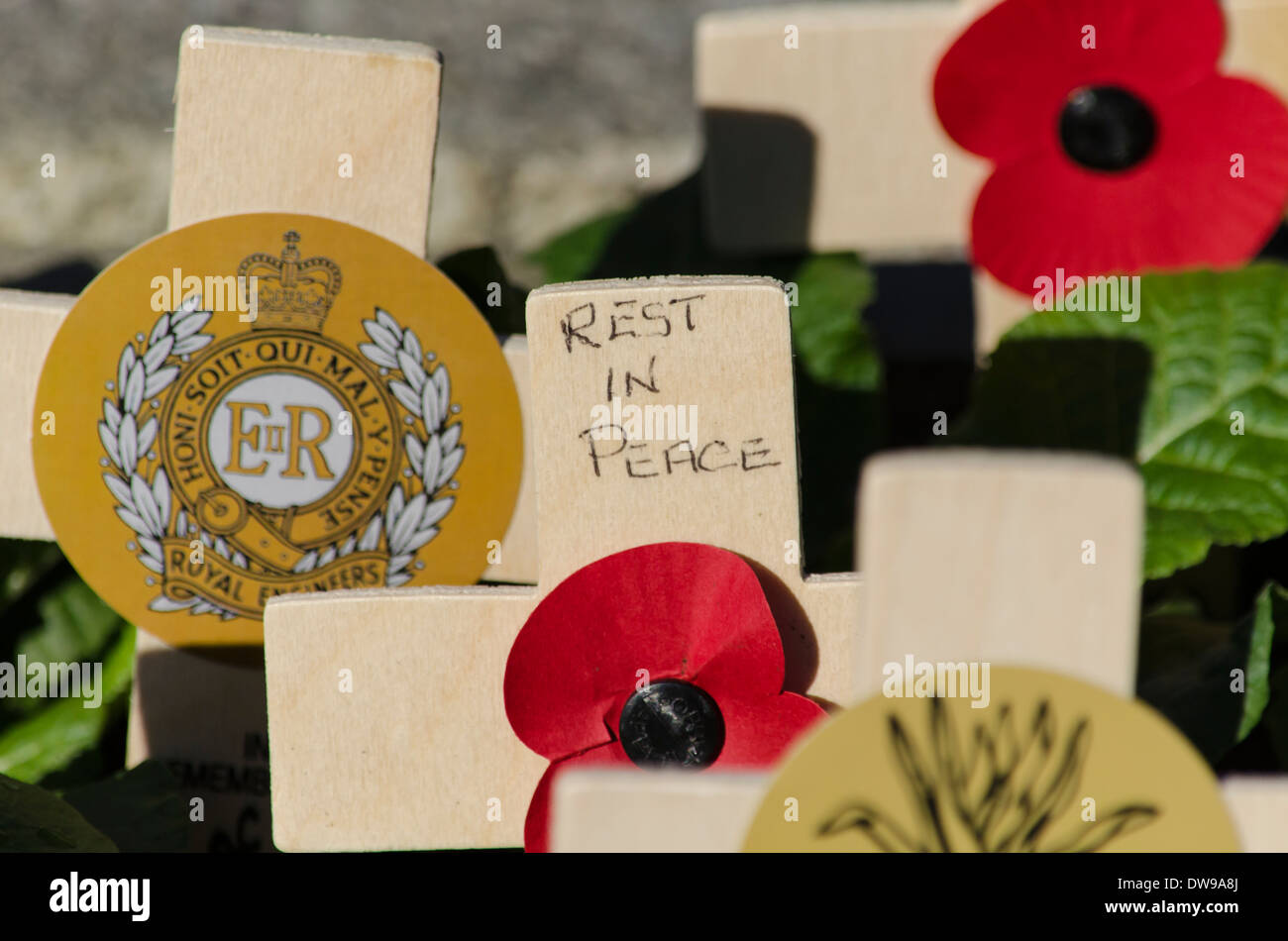Memorial wooden cross poppy hi-res stock photography and images - Alamy