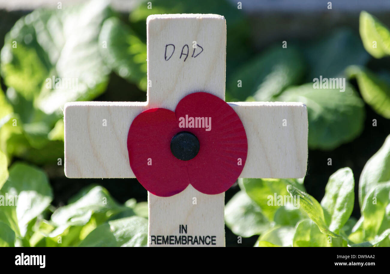 Memorial wooden cross poppy hi-res stock photography and images - Alamy