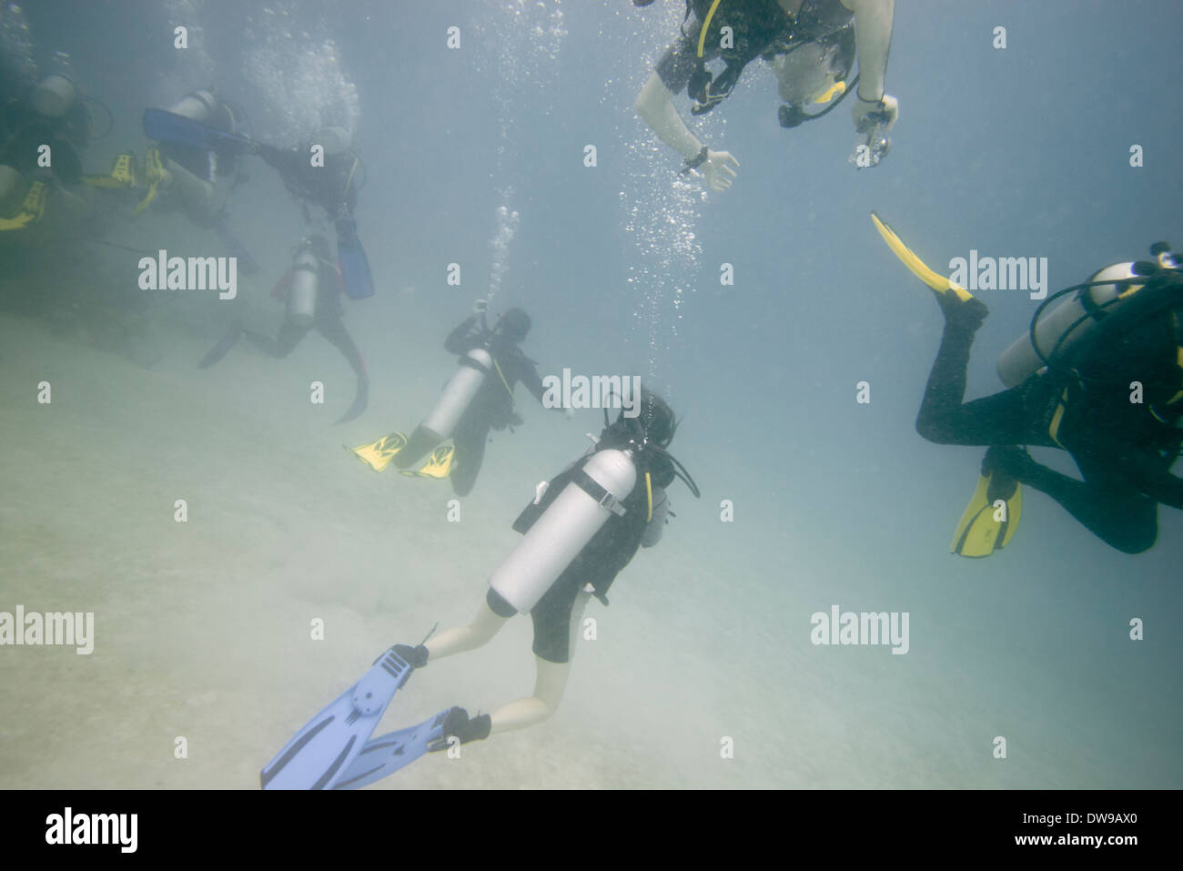 Bay Islands Diving Honduras High Resolution Stock Photography and ...