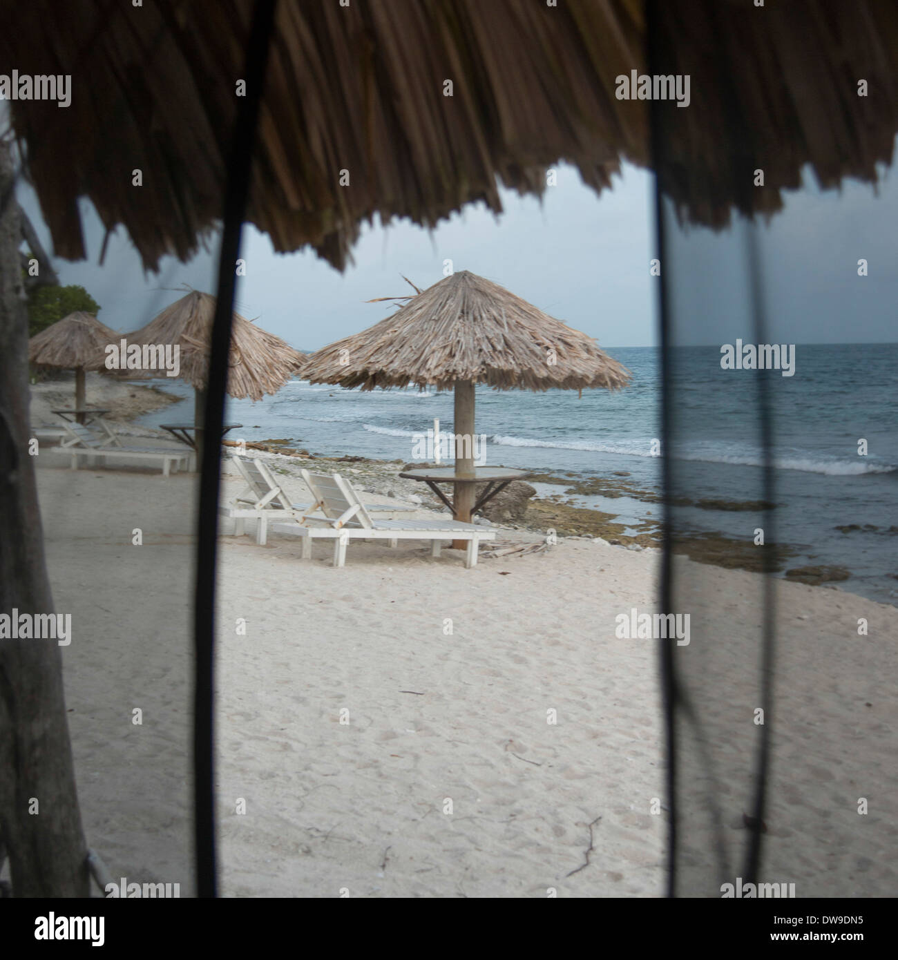 Lounge chairs with sunshades on the beach Utopia Village Utila Island ...