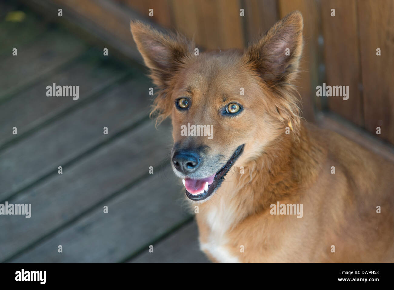 Open bay islands hi-res stock photography and images - Alamy