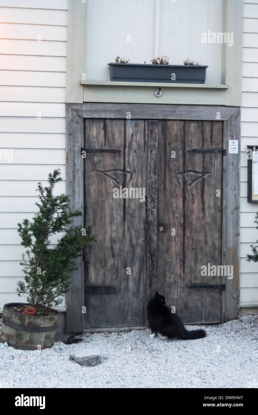 A restaurant door in Bergen with black cat Stock Photo - Alamy