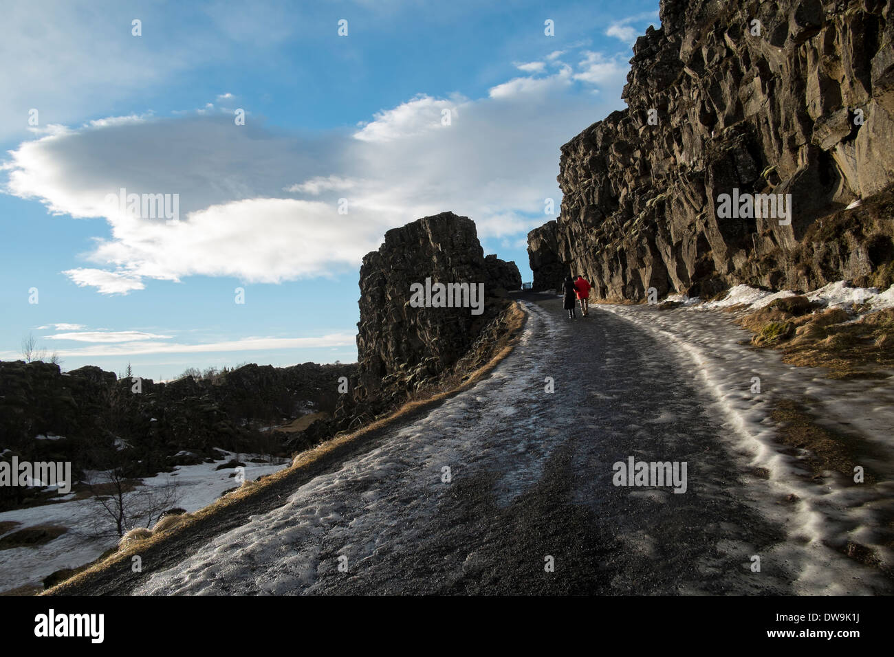 Thingvellir National Park. Fissures in the rock as a result of the ...