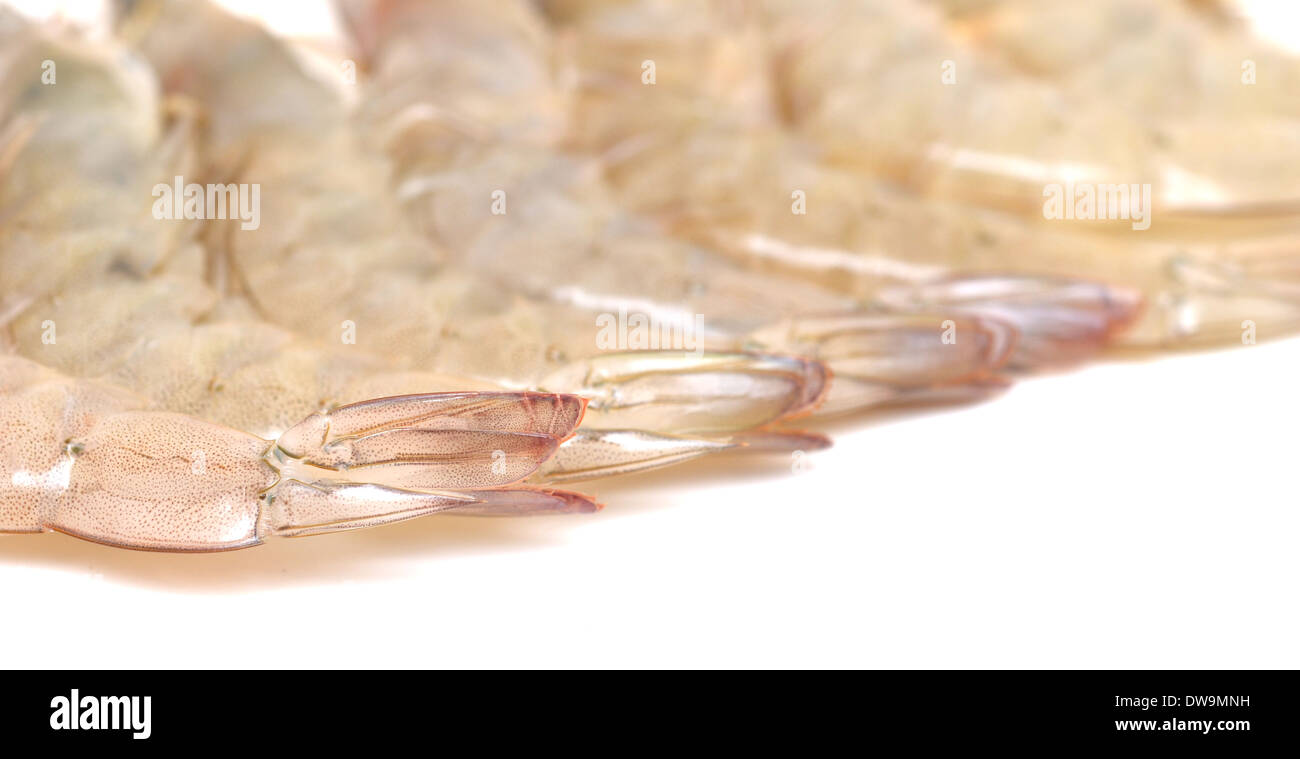 Shrimp with tail hi-res stock photography and images - Alamy