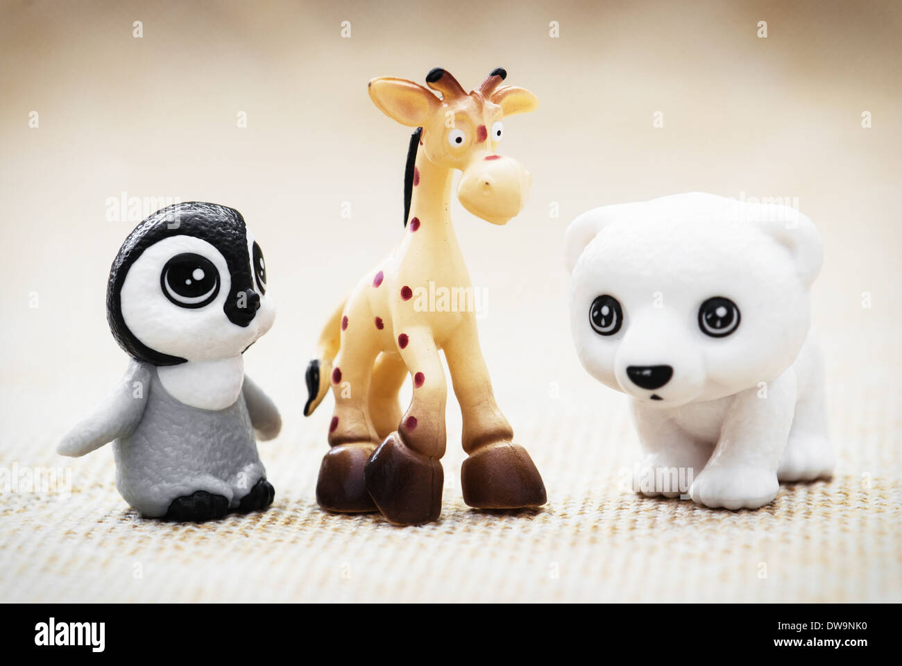 Giraffe and penguin hi-res stock photography and images - Alamy