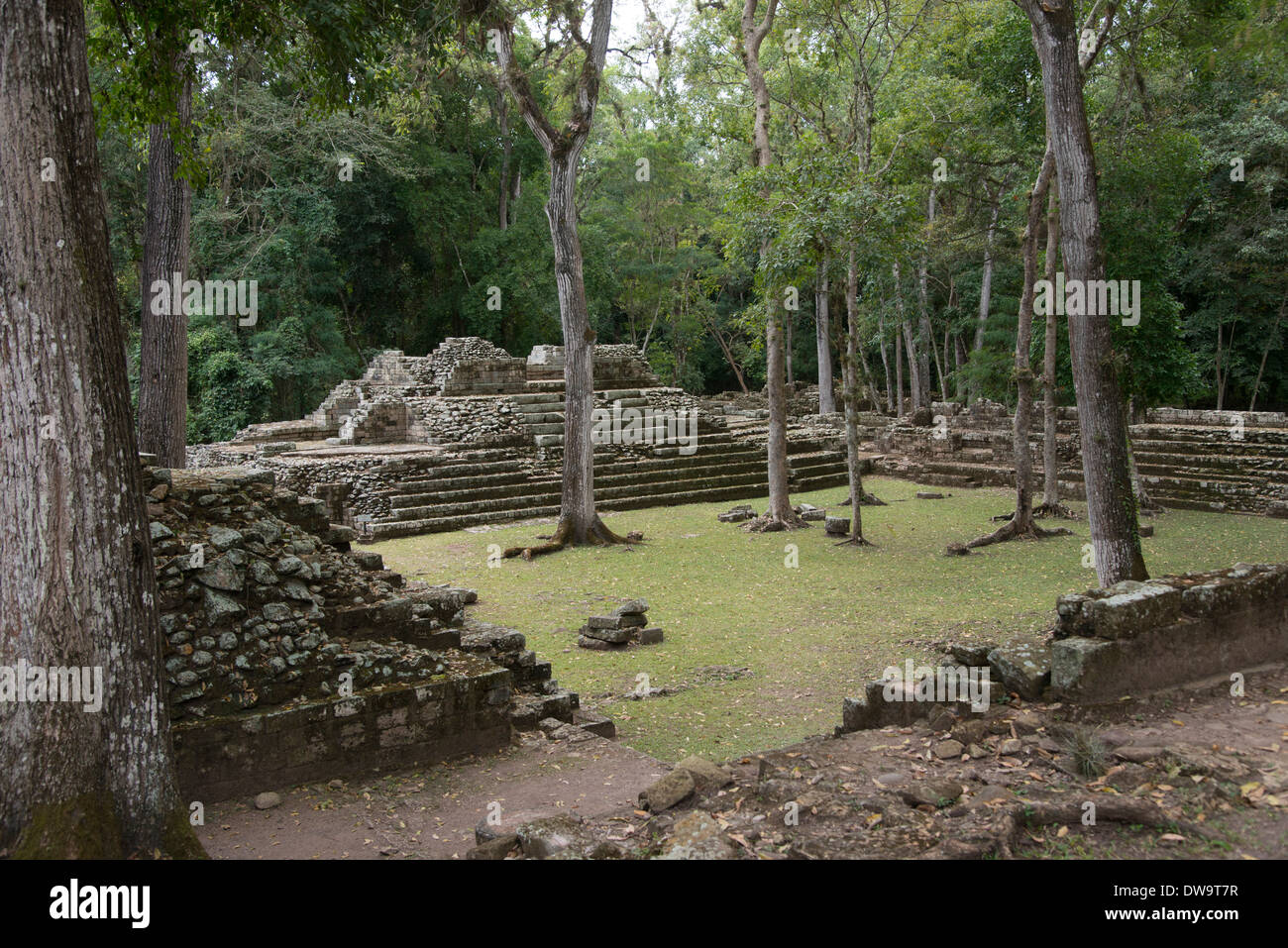 Ruins at an archaeological site Copan Copan Ruinas Copan Department ...