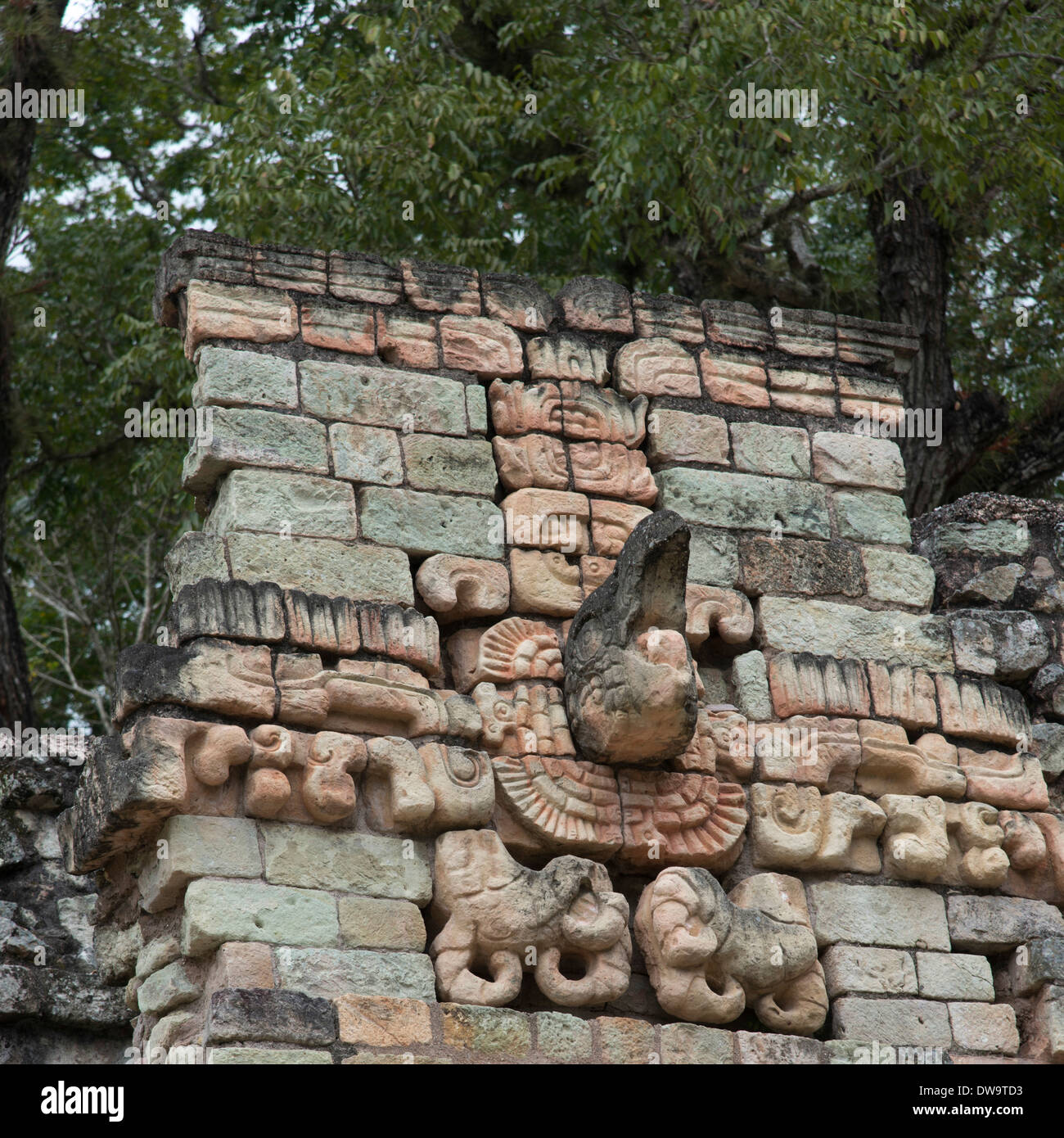 Mayan ruins at an archaeological site Copan Copan Ruinas Honduras Stock ...