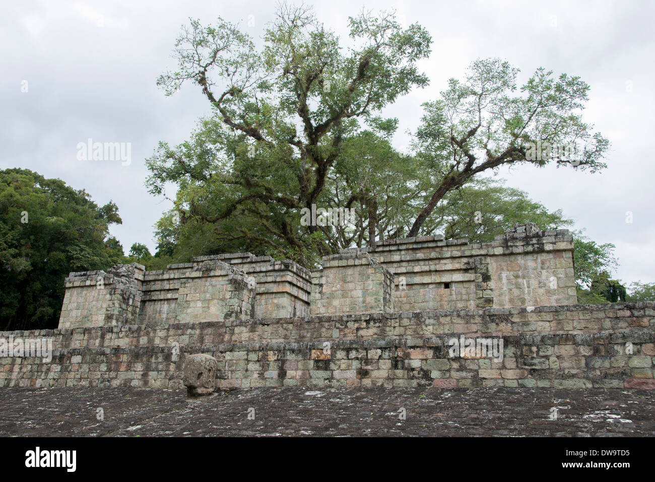 Ruins at an archaeological site Copan Copan Ruinas Copan Department ...