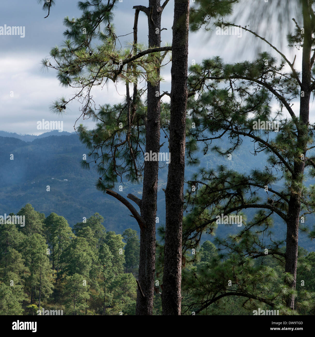 Valley Of Copan High Resolution Stock Photography and Images - Alamy