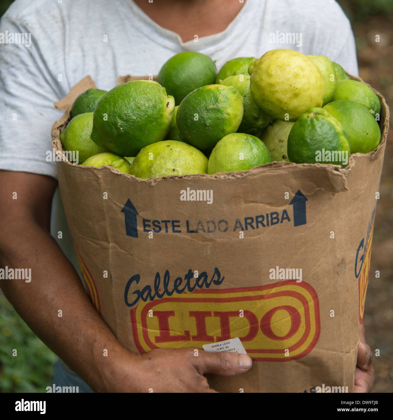Carrying a box hi-res stock photography and images - Alamy