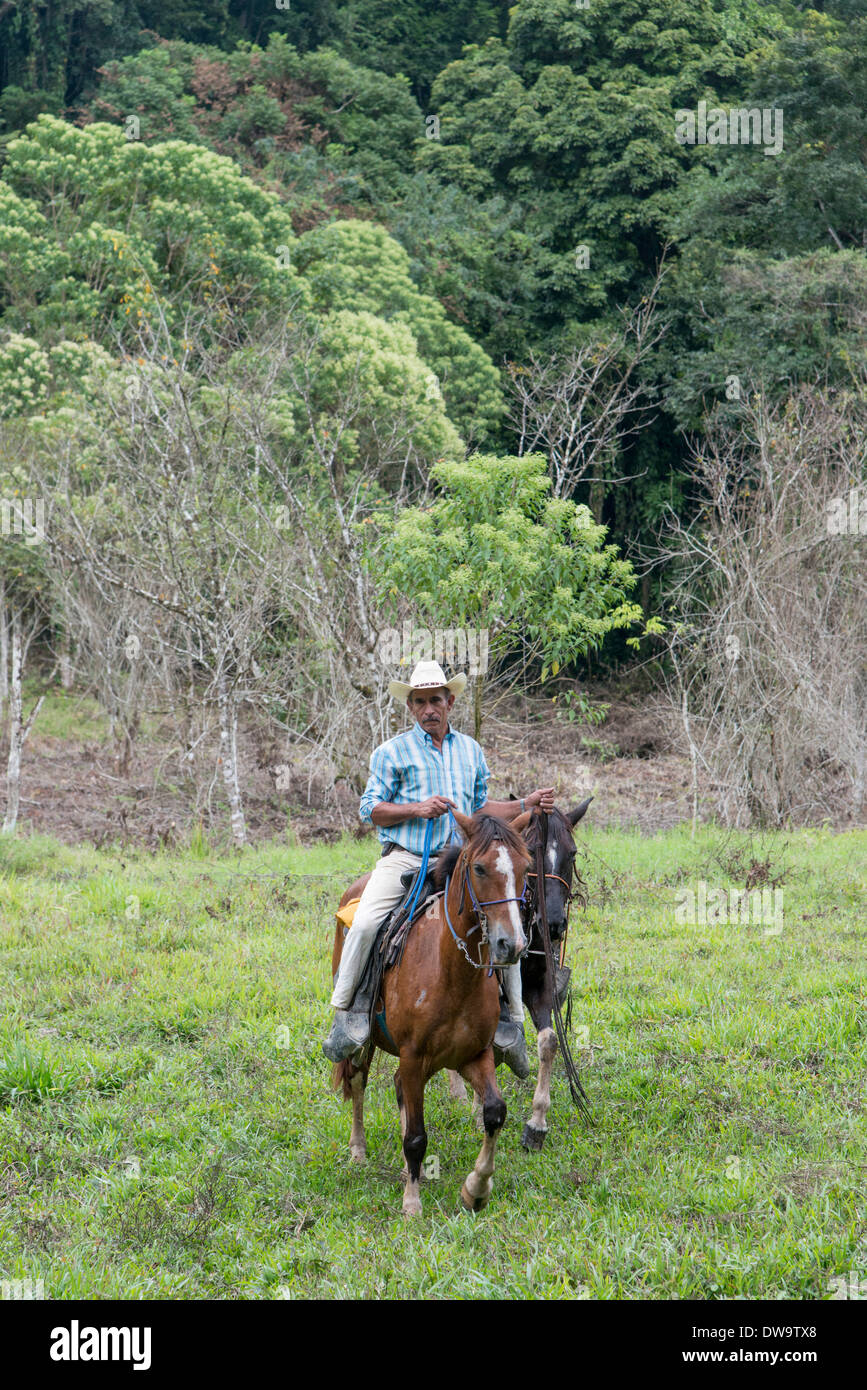 Man horseback riding in forest Finca El Cisne Honduras Stock Photo - Alamy