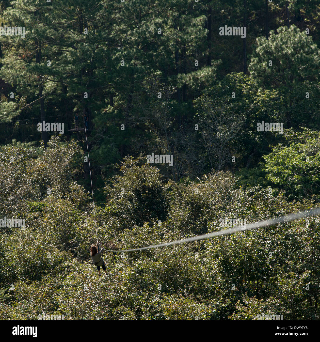 Person riding a zip line in a forest Copan Copan Ruinas Copan ...