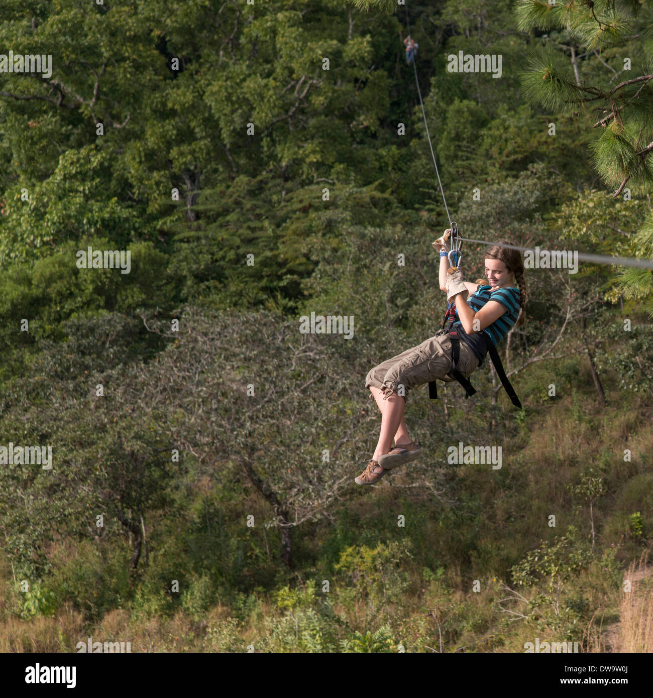 Girl riding a zip line in a forest Copan Copan Ruinas Copan Department ...