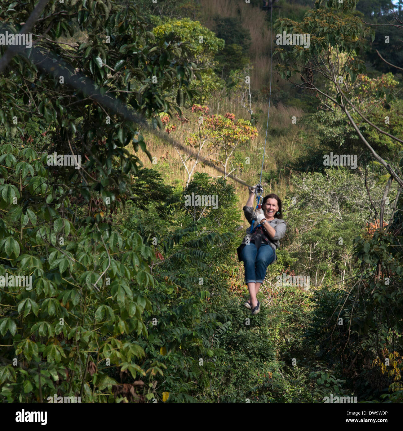 Woman riding a zip line in a forest Copan Copan Ruinas Copan Department ...