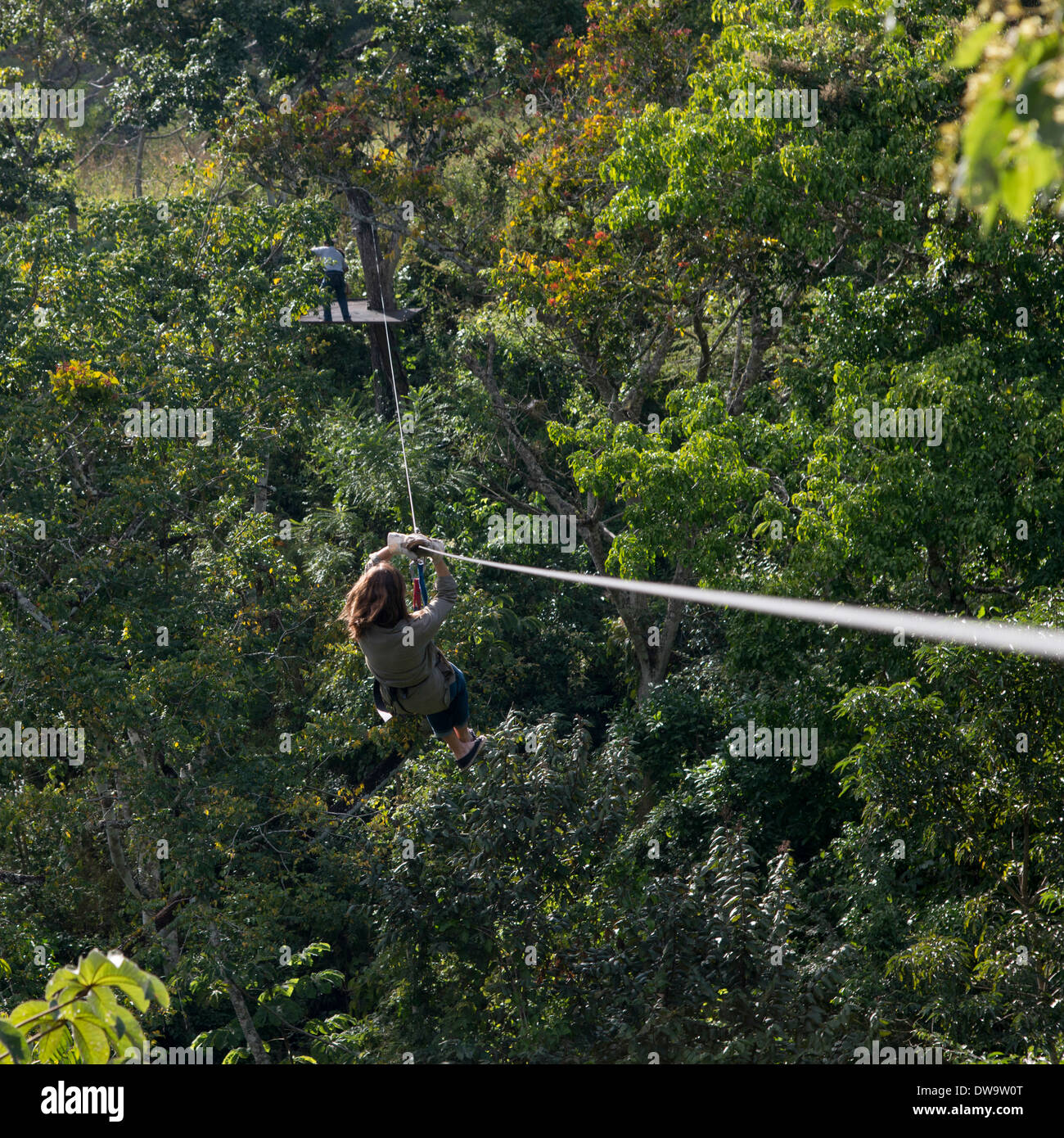 Woman riding a zip line in a forest Copan Copan Ruinas Copan Department ...