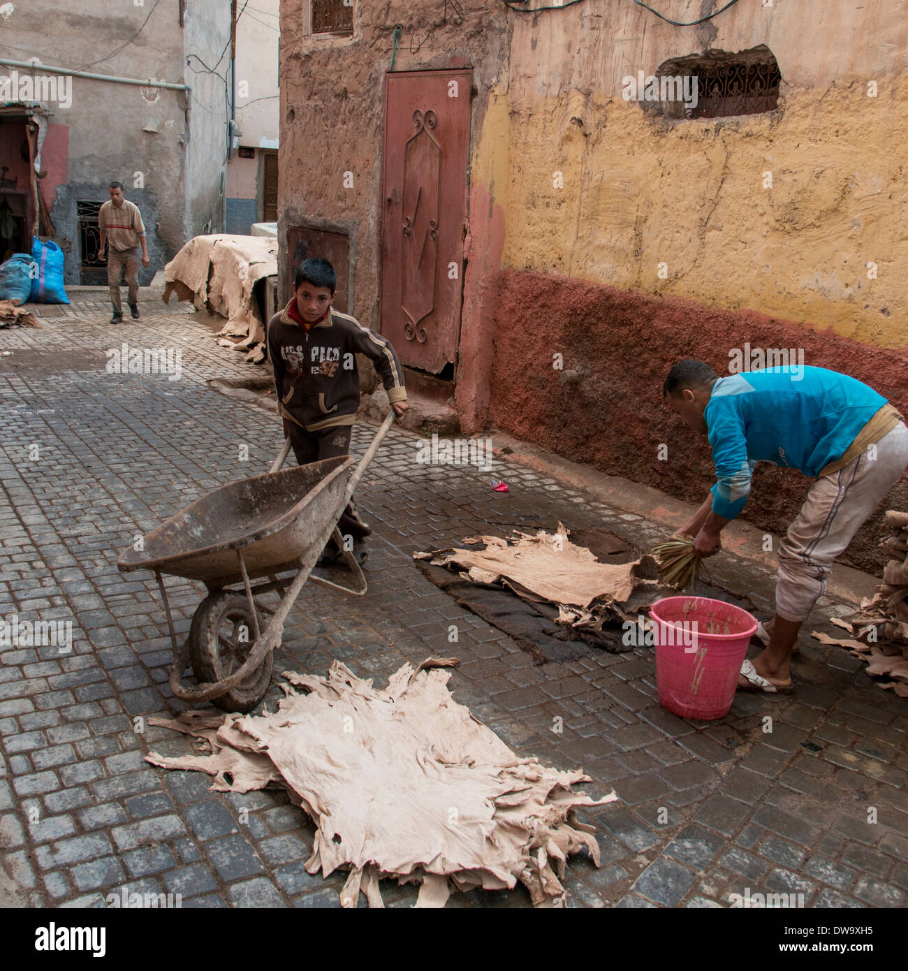 Tanneries in marrakesh hi-res stock photography and images - Alamy
