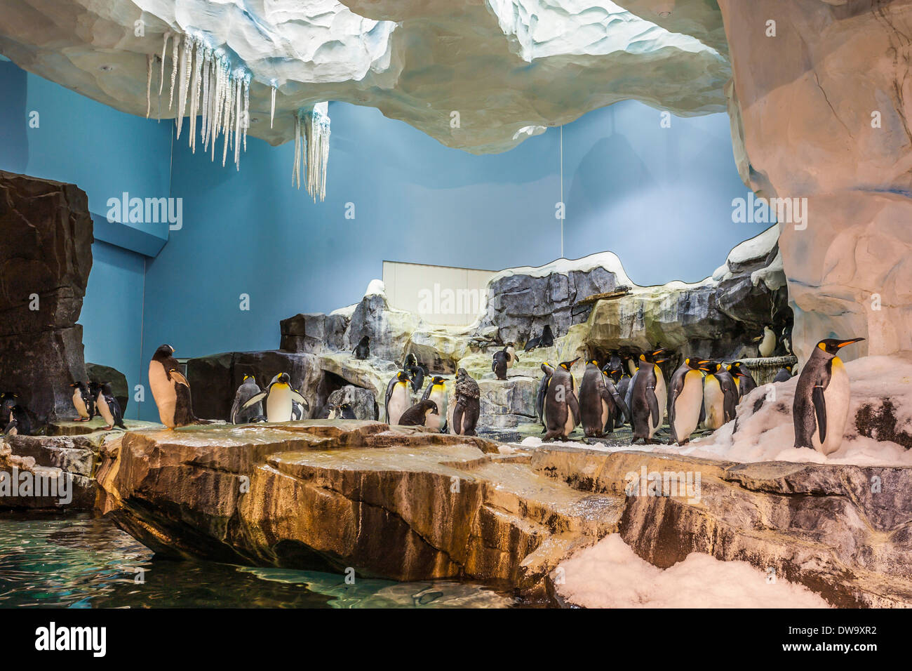 Seaworld orlando hi-res stock photography and images - Alamy