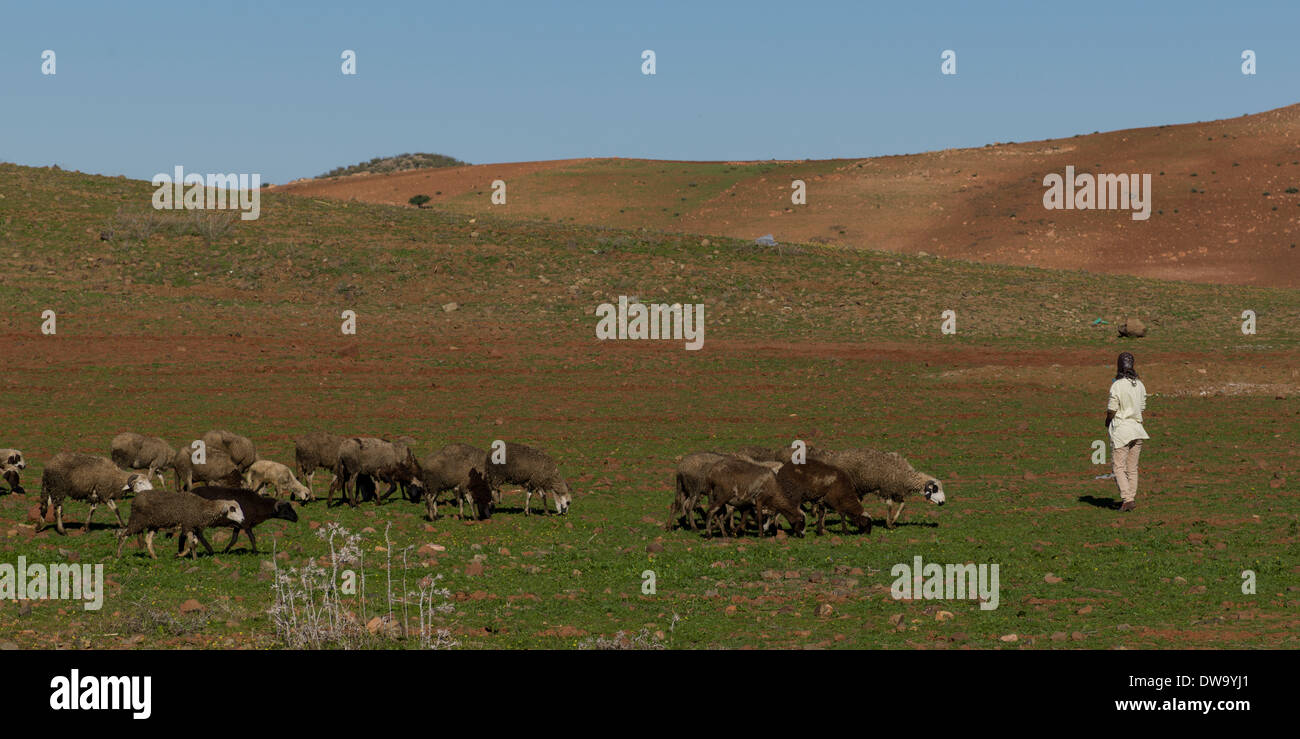 High atlas region hi-res stock photography and images - Alamy