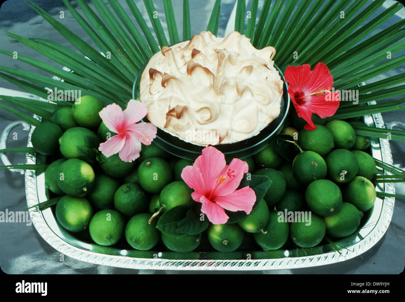 Hibiscus key lime hi-res stock photography and images - Alamy