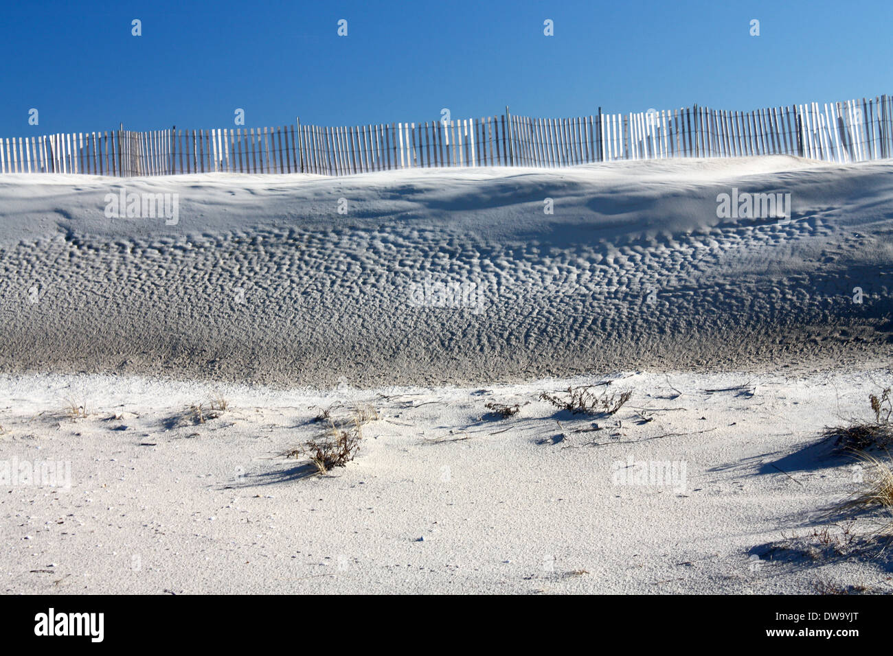 Robert Moses Dune #1 Stock Photo - Alamy