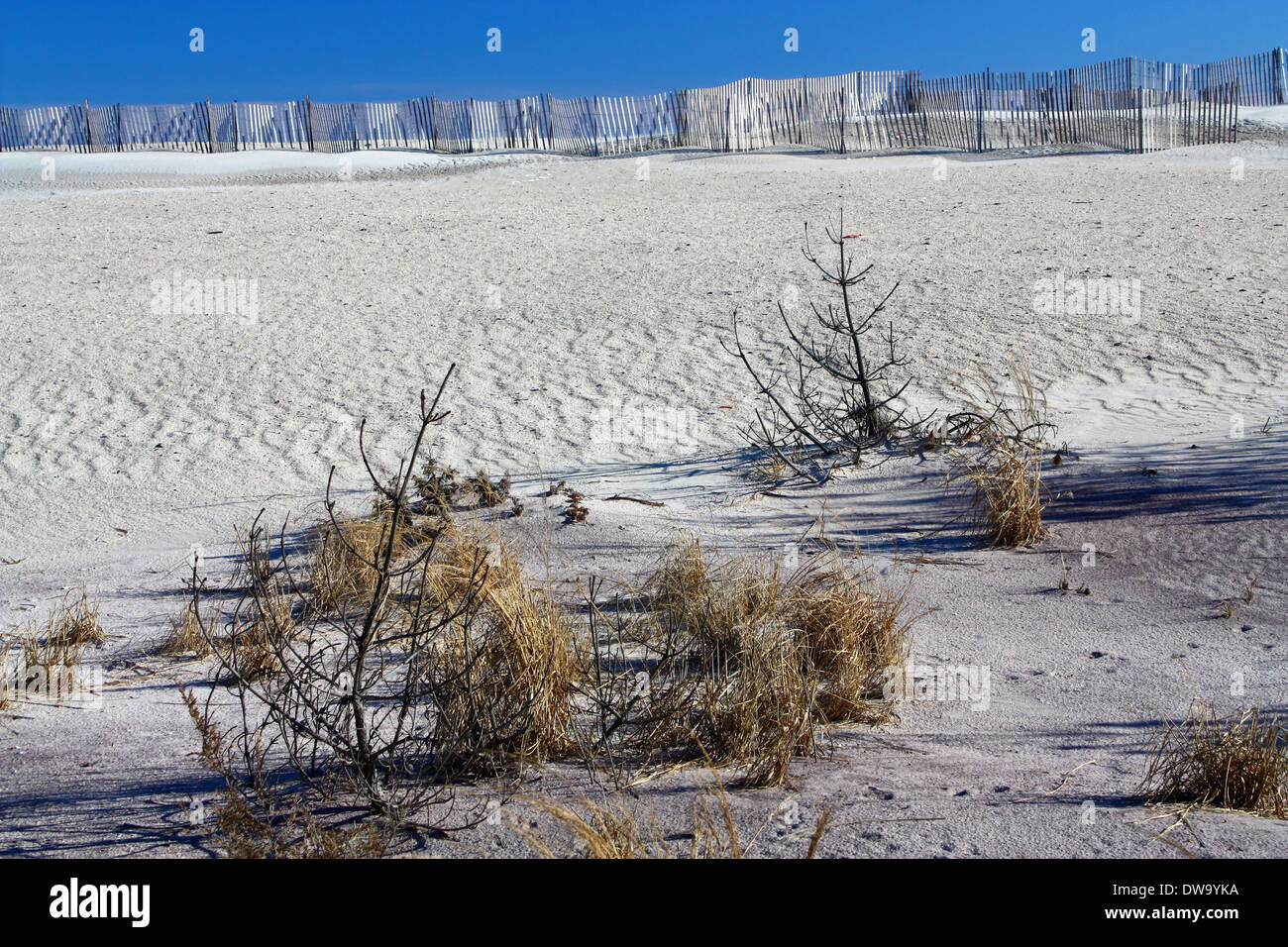 Robert Moses Dune #2 Stock Photo - Alamy