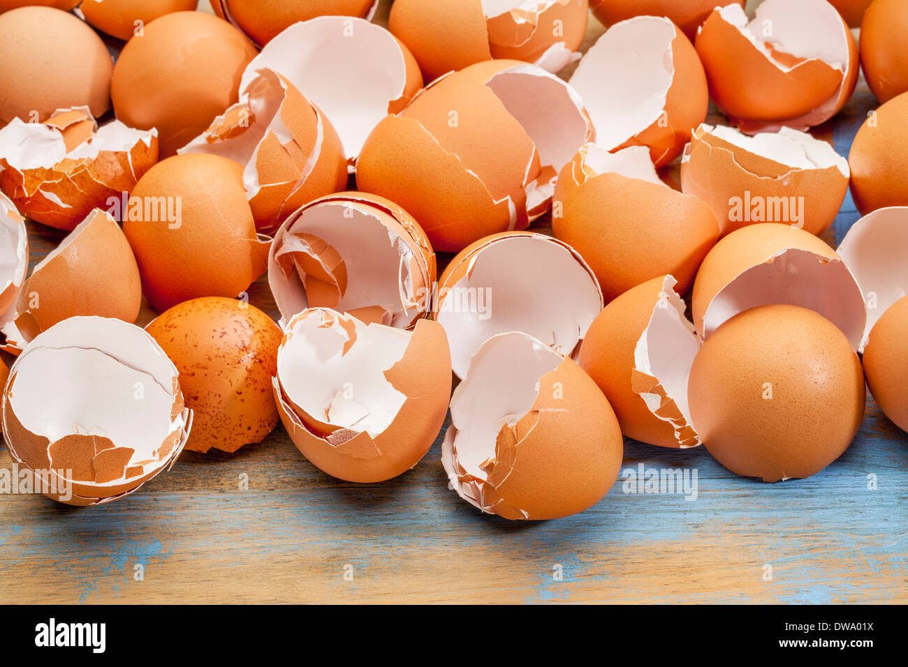 Eggshell hi-res stock photography and images - Alamy
