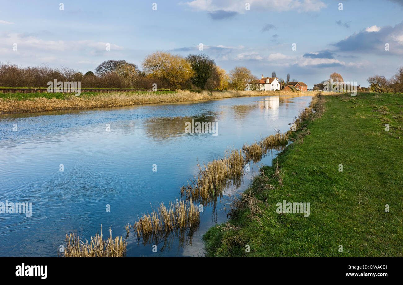 The river Hull on a bright, calm morning showing the high level of ...