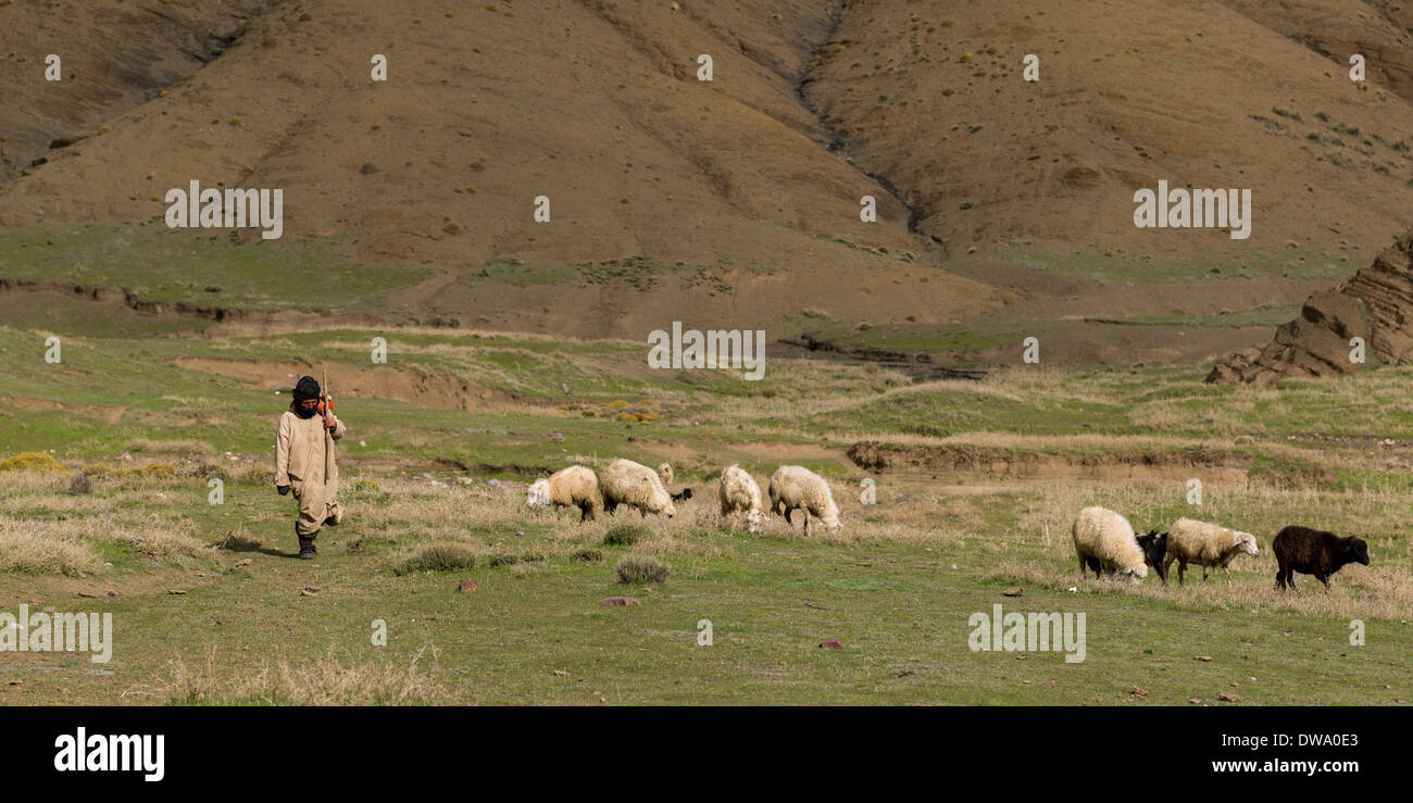 Shepherd in atlas hi-res stock photography and images - Alamy