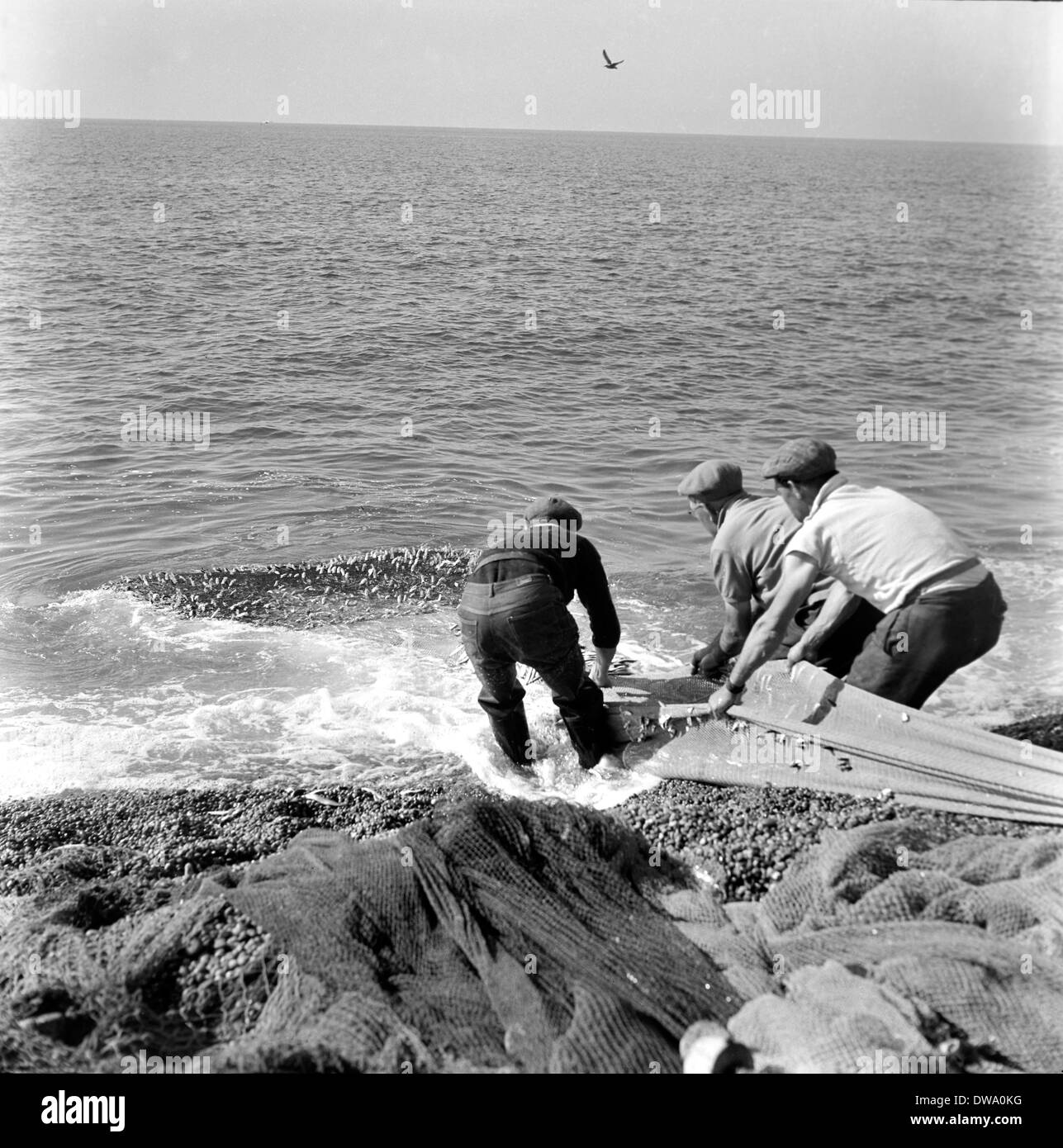 Beach seining Black and White Stock Photos & Images - Alamy
