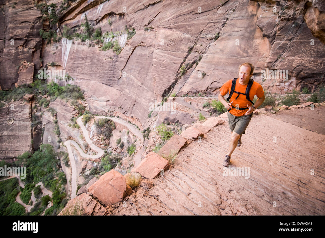 Male trail runner on the Angels Landing trail, Banff National Park ...