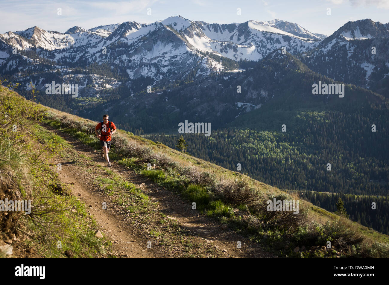Male trail runner on the Wasatch Crest Trail, Banff National Park ...