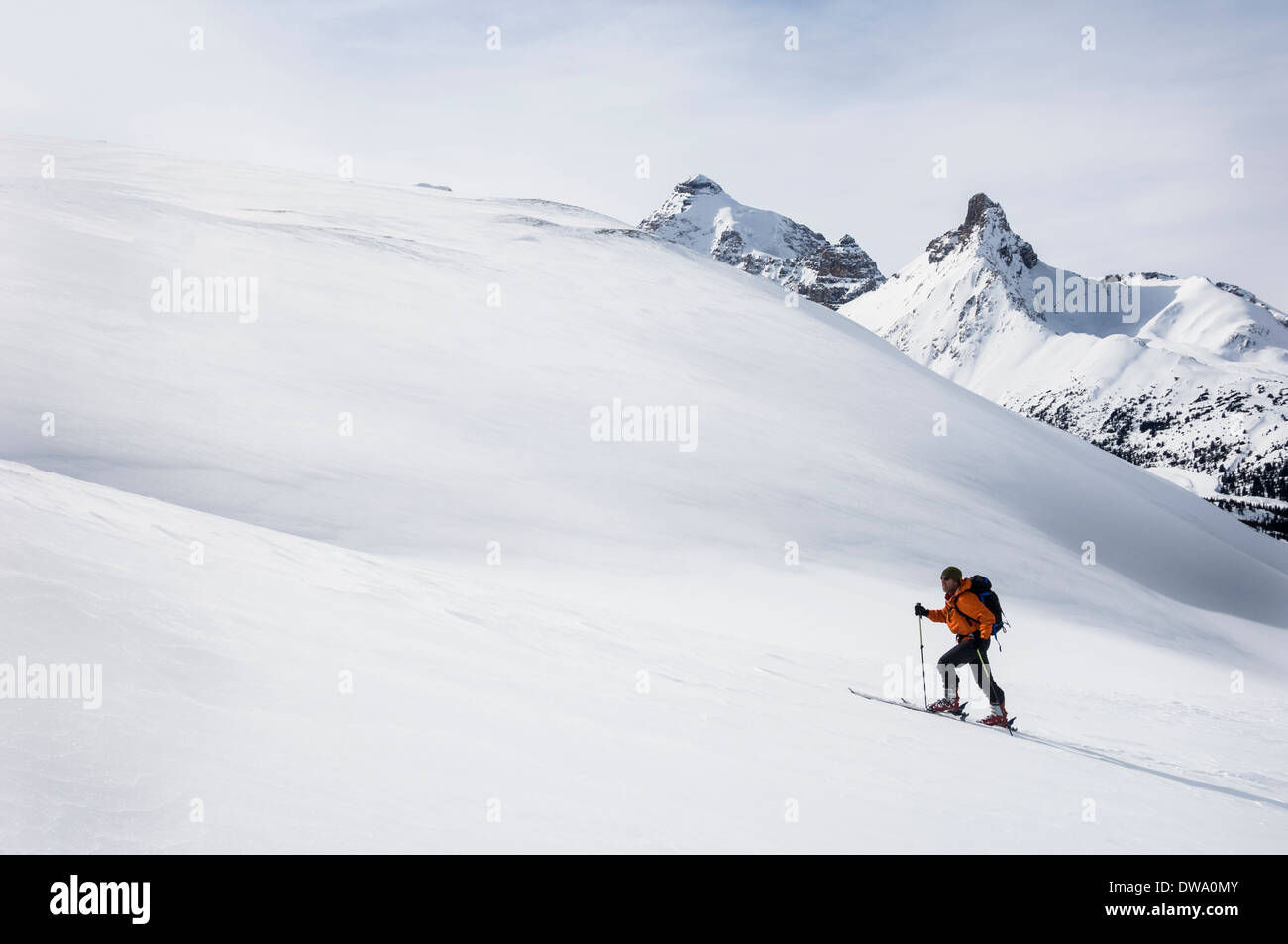 Man back country skiing on Parker Ridge , Banff National Park, Alberta ...