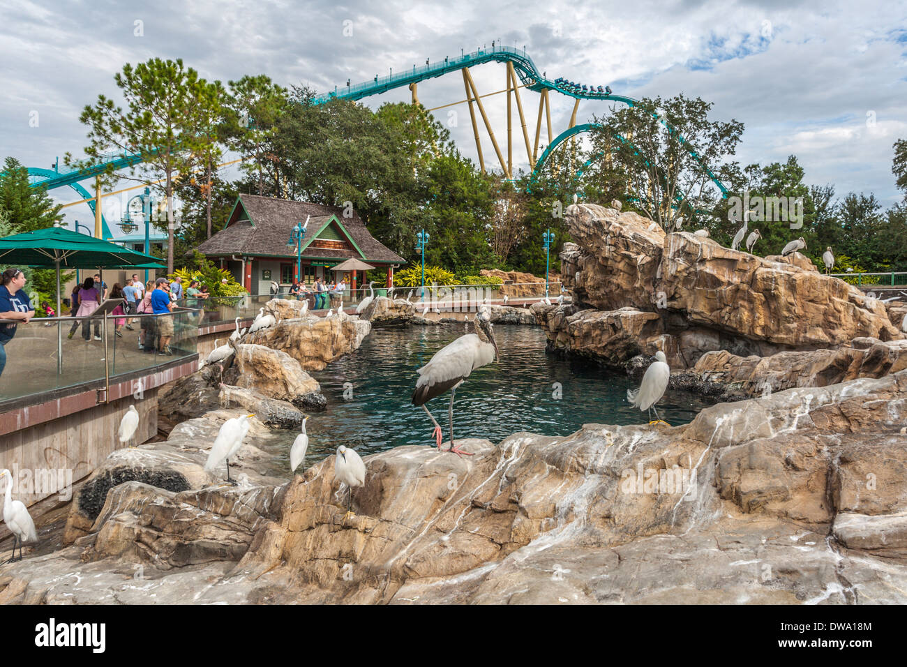 Kraken roller coasters loom behind stork and Egrets in the Pacific ...