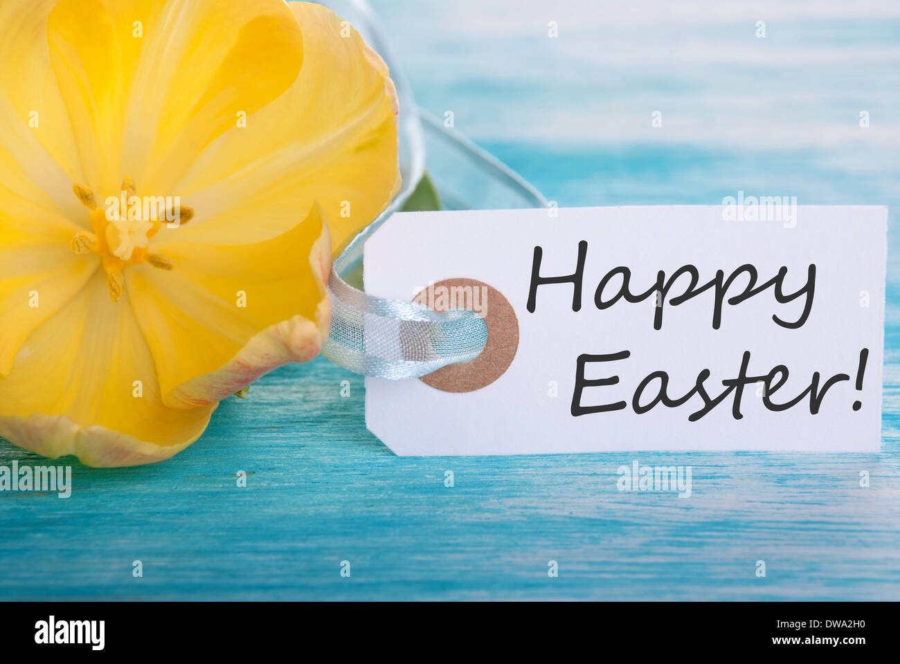 Tag with Happy Easter on a turquoise Board with Yellow Tulip Blossom ...