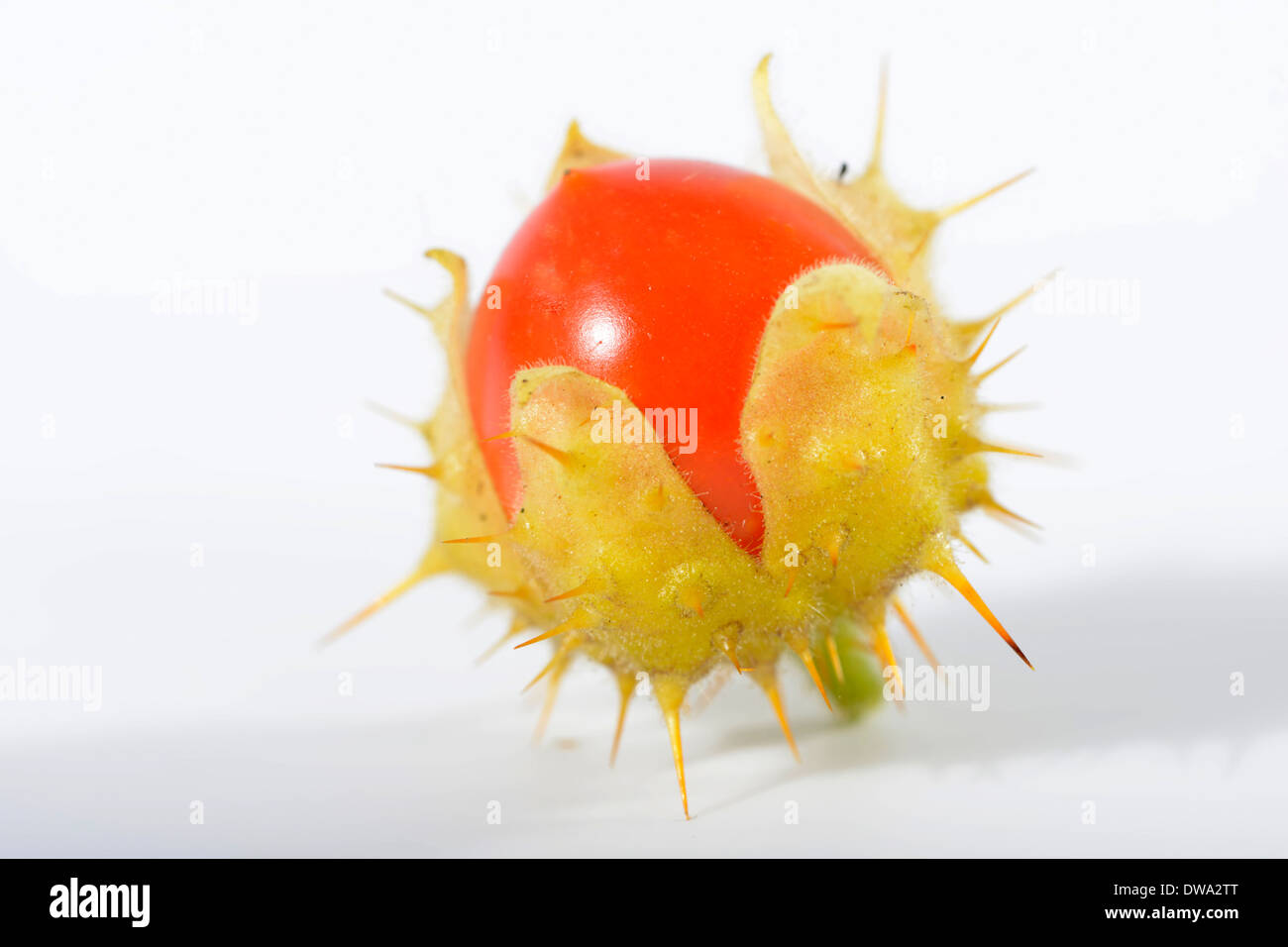 Sticky fruit hi-res stock photography and images - Alamy