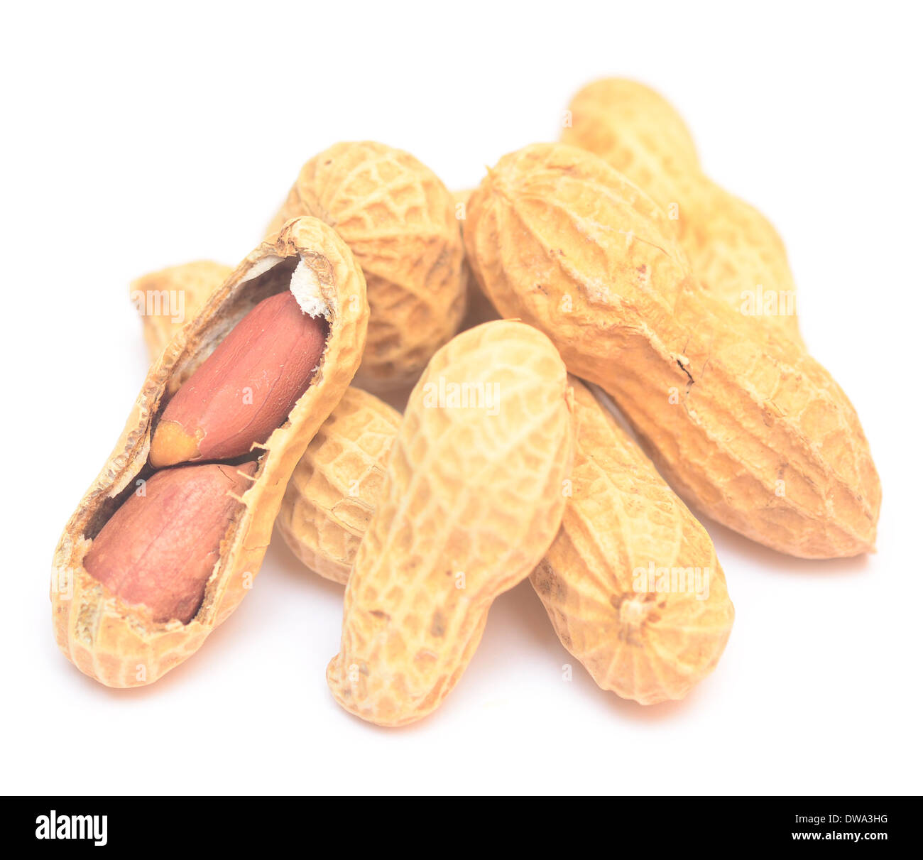 peanuts isolated on white background Stock Photo - Alamy