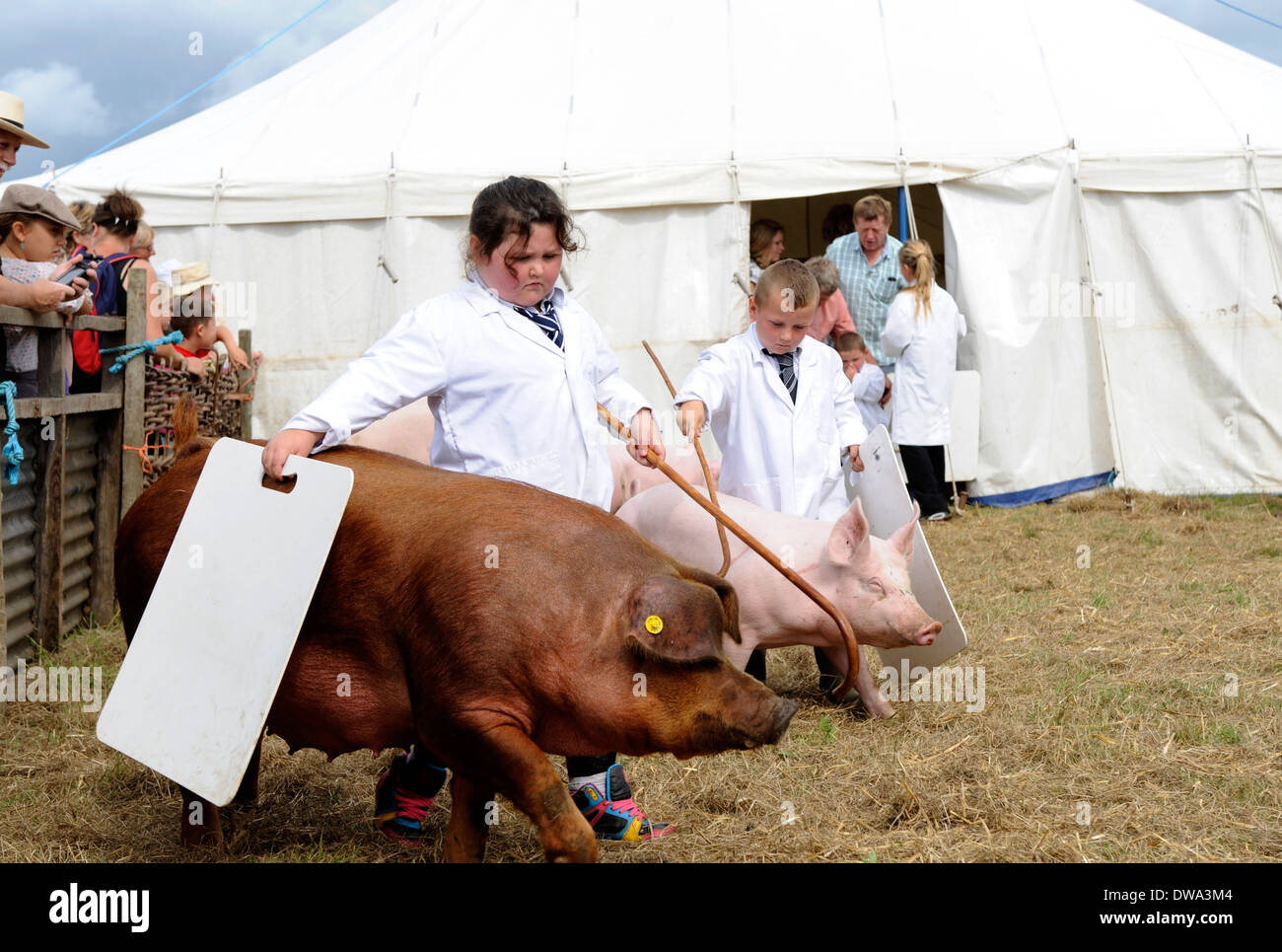 Melplash show hi-res stock photography and images - Alamy